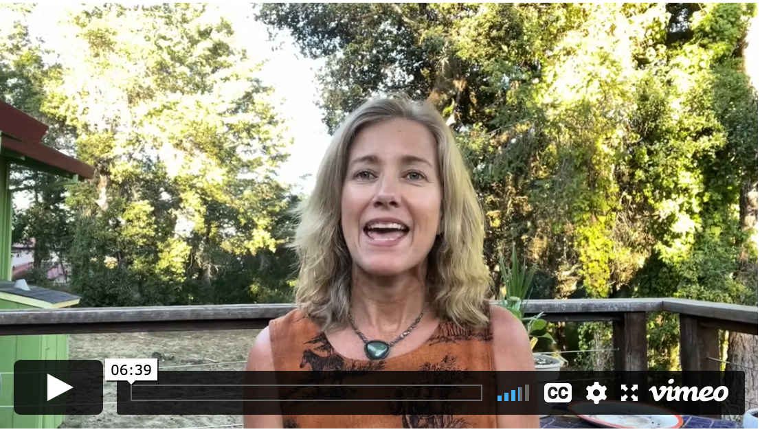 Part 1: A1C explained and tips to lower it – BioYouth Labs