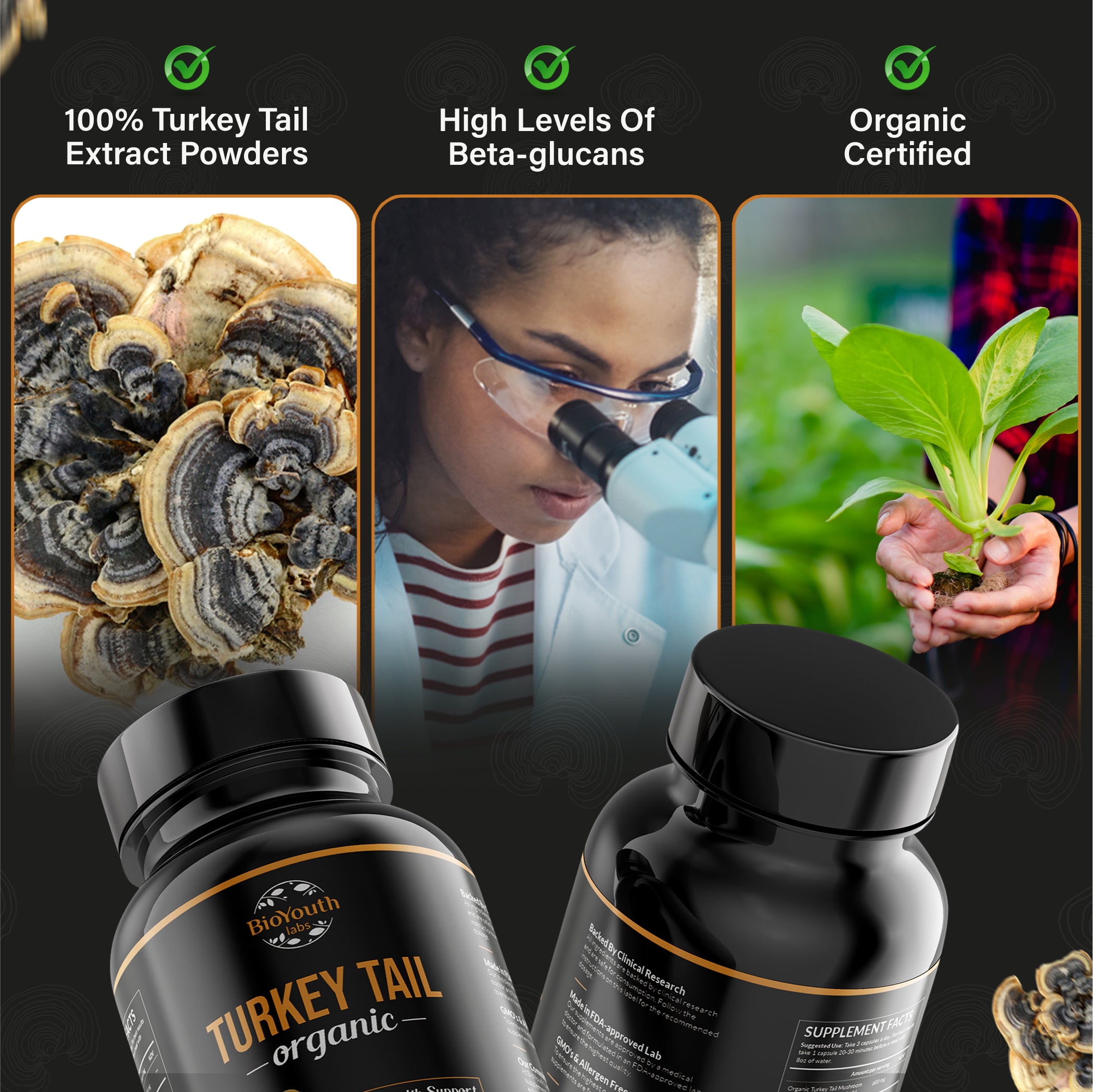 Natural Organic Turkey Tail Immune Support | BioYouth Labs